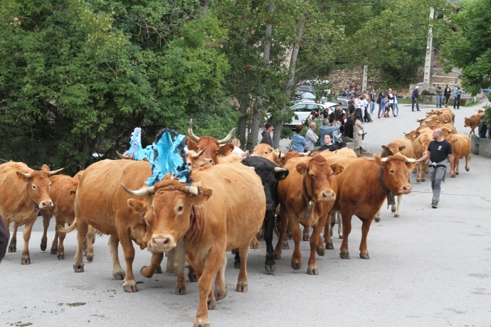 Fiesta de Los Campanos (Abiada 2023)
